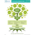 What is Functional Medicine? - The Functional Wellness Clinic