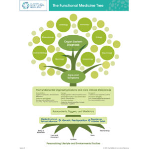 What is Functional Medicine? - The Functional Wellness Clinic