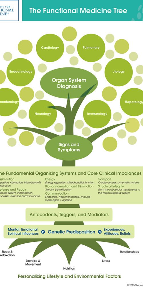 The Functional Wellness Clinic – Balancing the Pillars of Your Health